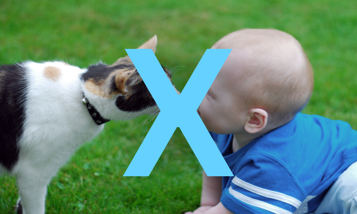 150+ Boys Names That Start With X | Name My Baby