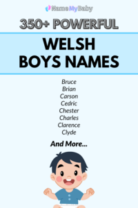 380+ Welsh Boys Names | Name My Baby